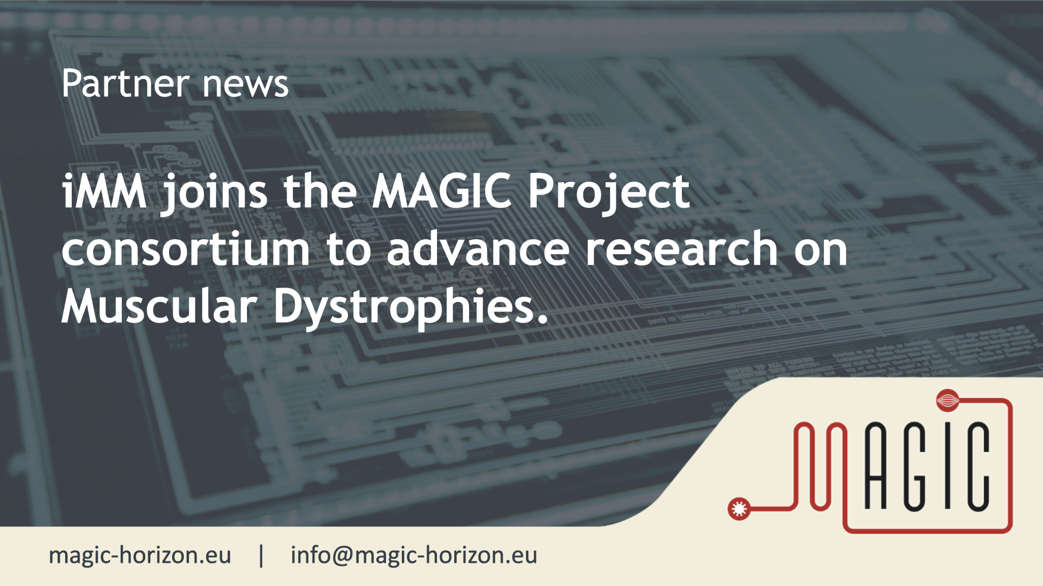 iMM Joins the MAGIC Consortium to Advance Research on Muscular Dystrophies - Duchenne Data ...
